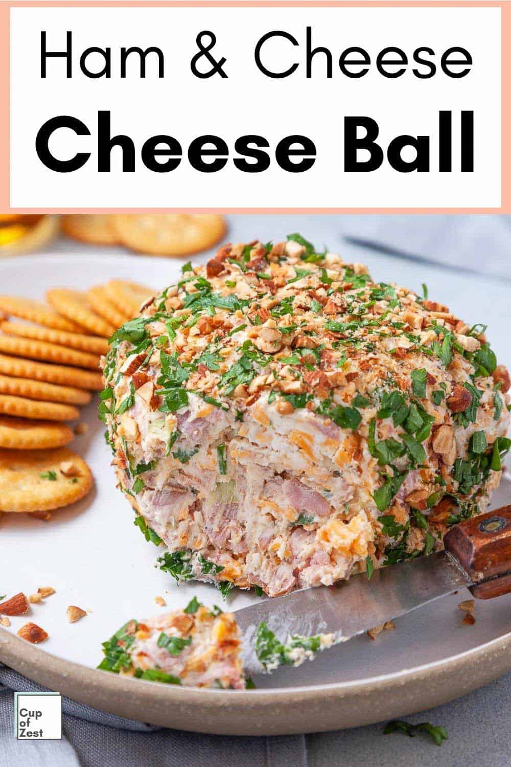 Ham and Cheese Cheese Ball (Easy Party Recipe) - Cup of Zest