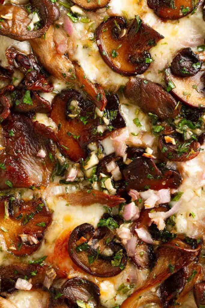 Double Mushroom Pizza w/ Red Sauce & Garlic - Cup of Zest